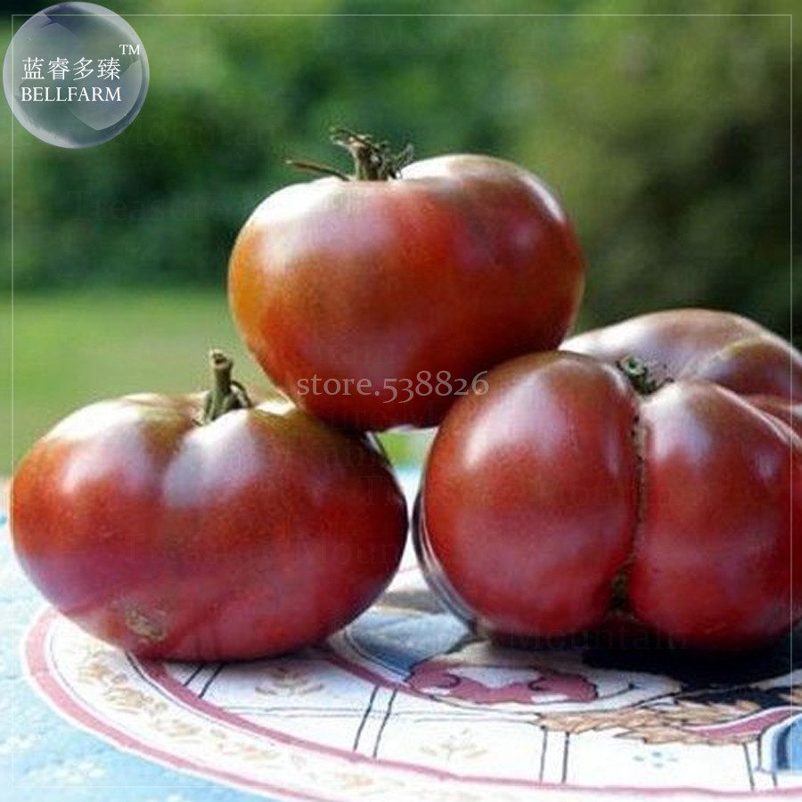 US$ 1.10 - BELLFARM 'Eluosi' Cherokee Purple Giant Tomato, 100 seeds ...