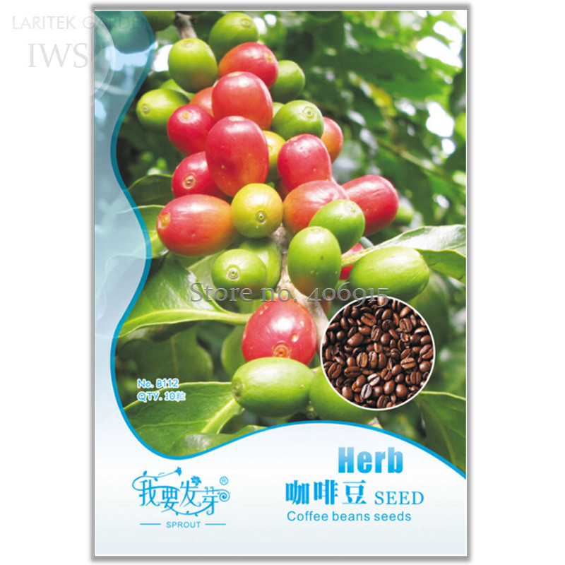 US$ 1.45 - Heirloom Colorful Coffee Bean Seeds, Original Pack, 10 seeds ...
