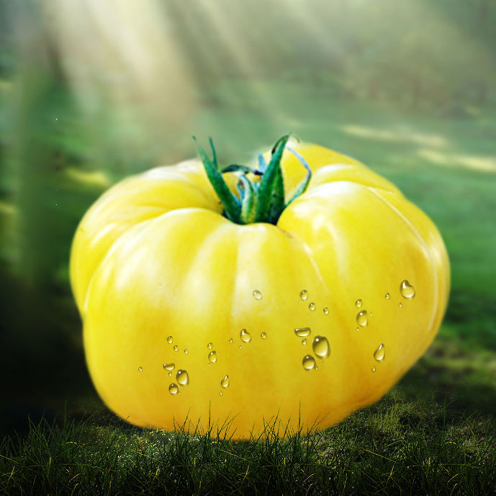 US$ 0.72 - Dixie Golden Giant Tomato Seeds Yellow Big Tomato Fruits ...